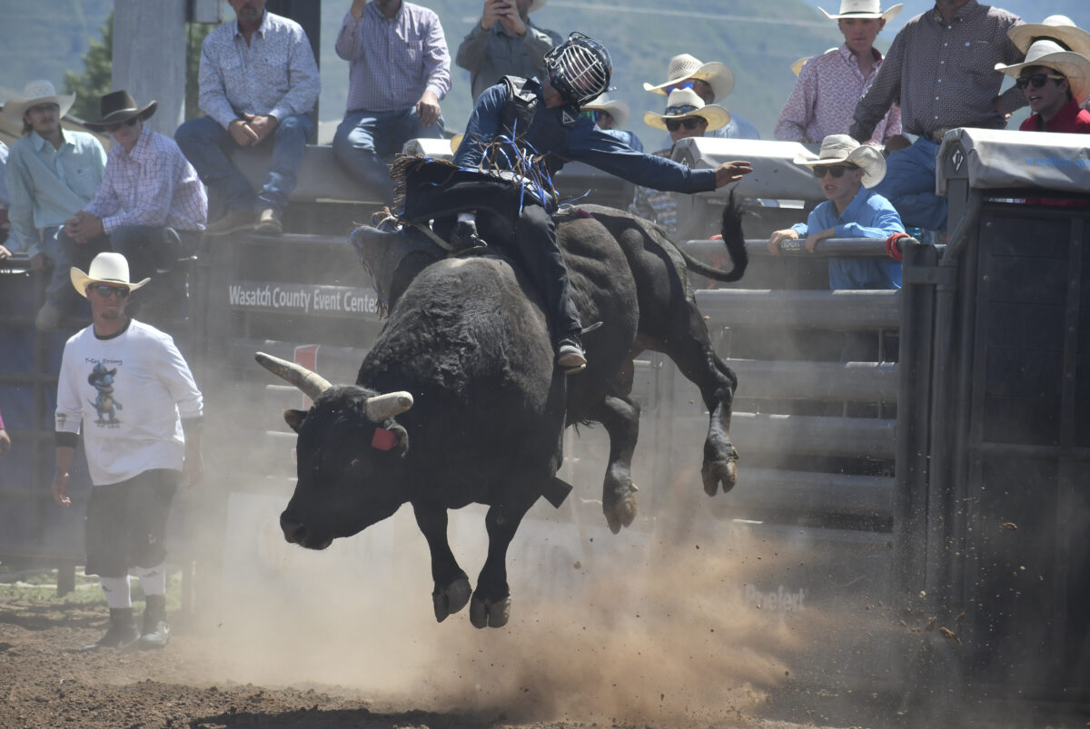 LLOYD: High school rodeo highlights toughness and kindness despite ...